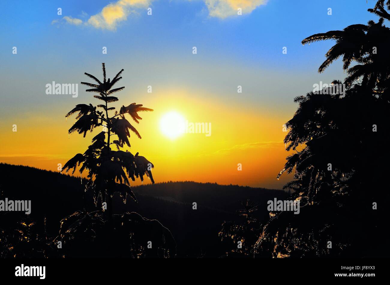 Sun heat in the cold winter Stock Photo - Alamy