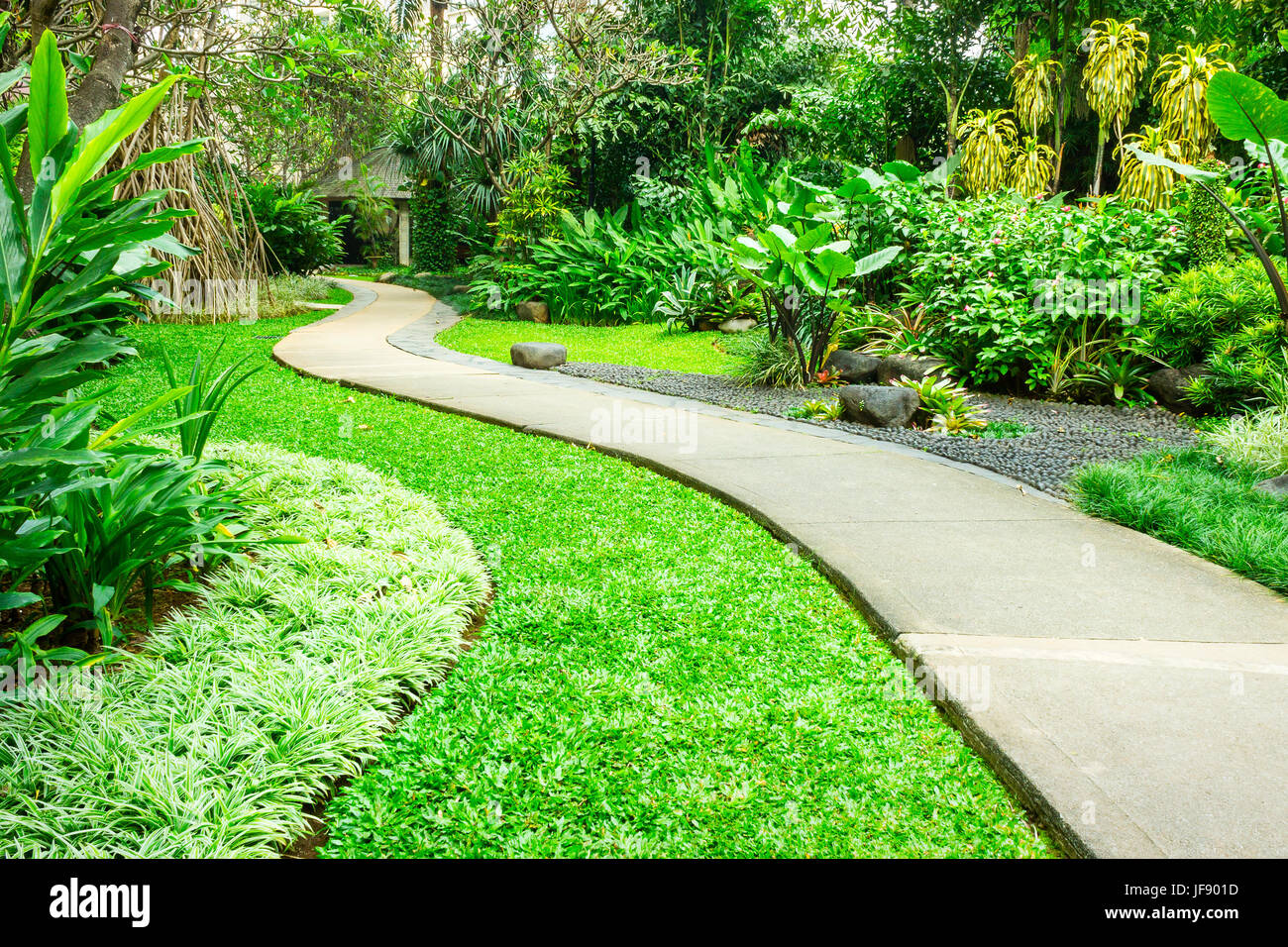 Beautiful green park with concrete winding path for pedestrians. The ...