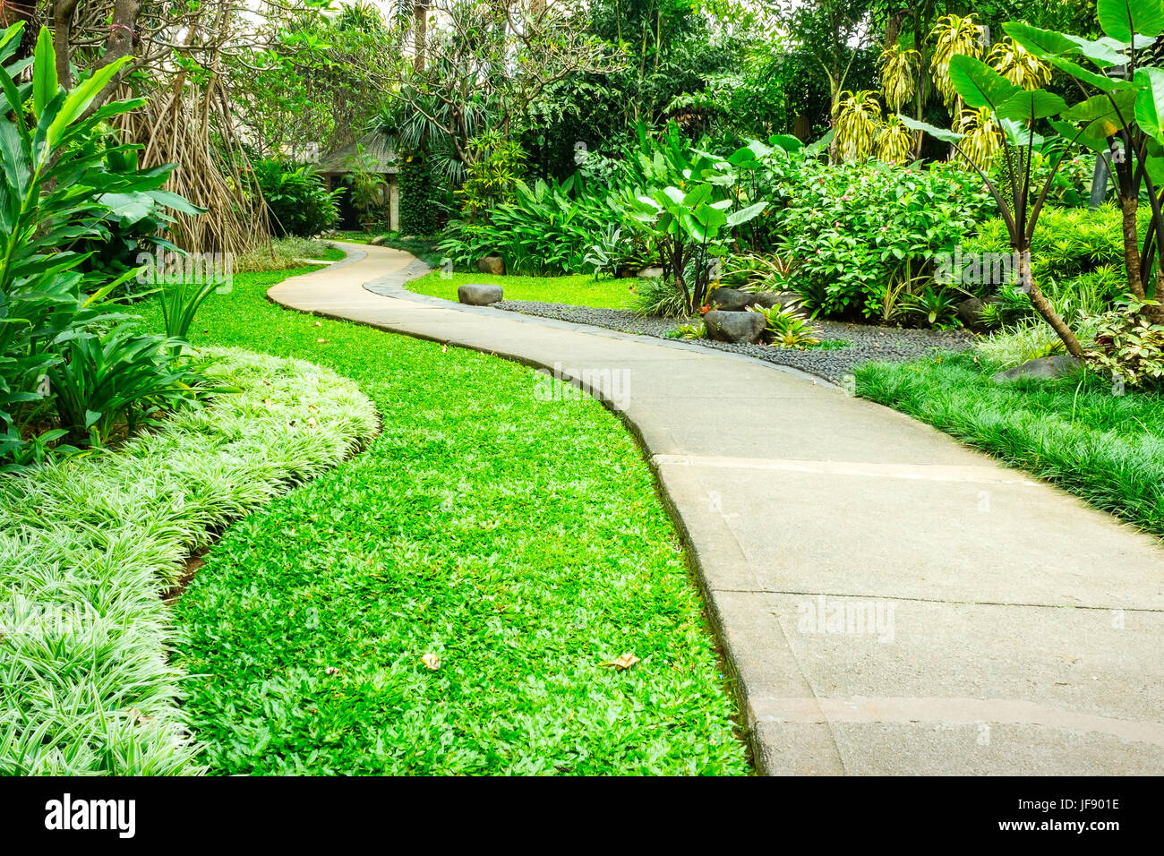 Beautiful green park with concrete winding path for pedestrians. The ...