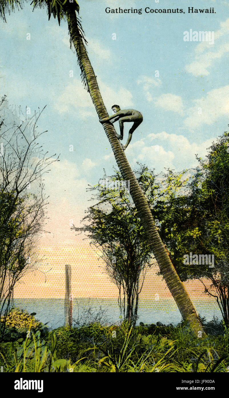 Illustration man climbing tree hi-res stock photography and images - Alamy