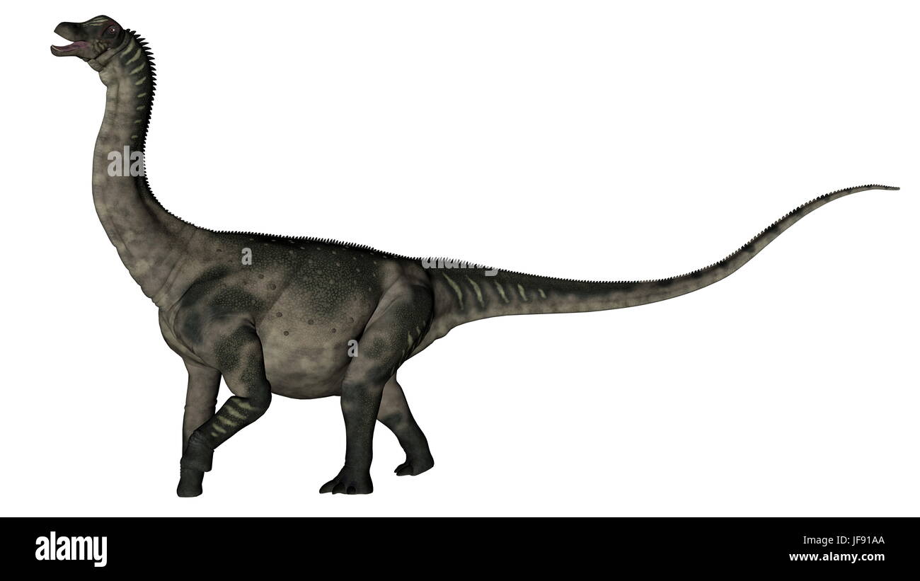 Antarctosaurus dinosaur roaring isolated in white background - 3D ...
