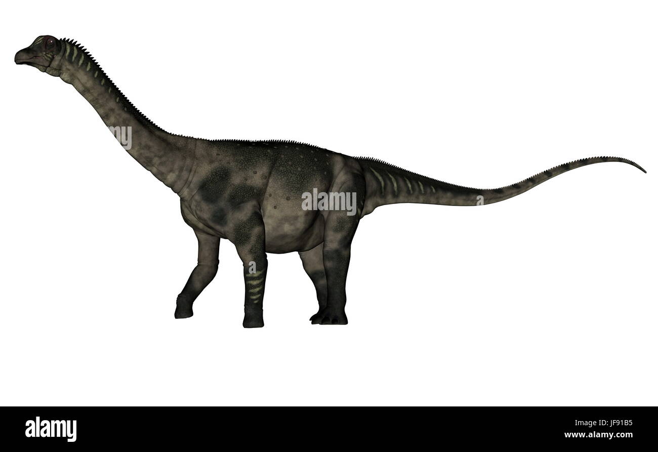 Antarctosaurus dinosaur walking isolated in white background - 3D ...