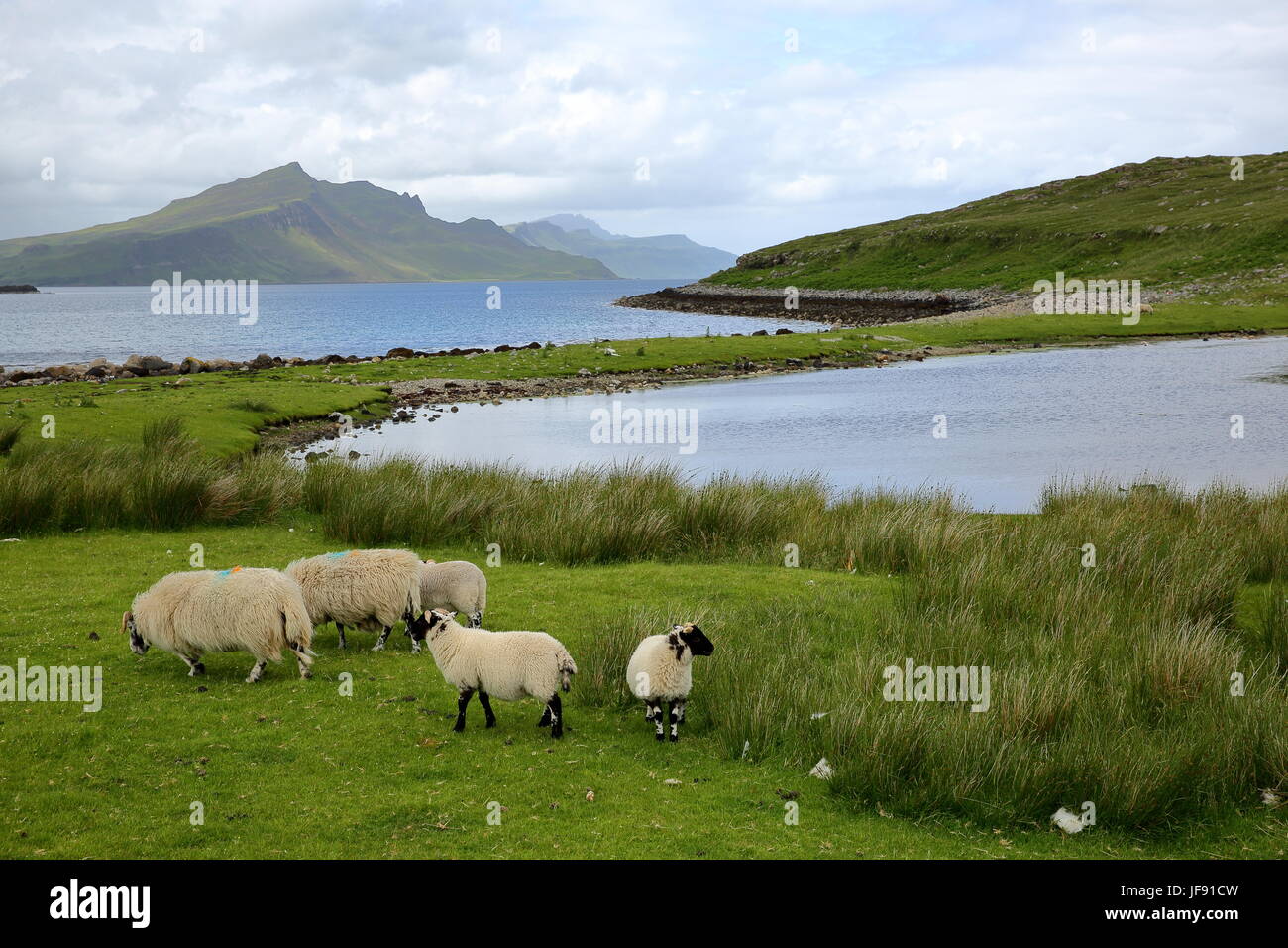 View from the An Aird peninsula towards the mountain Ben Tianavaig with ...