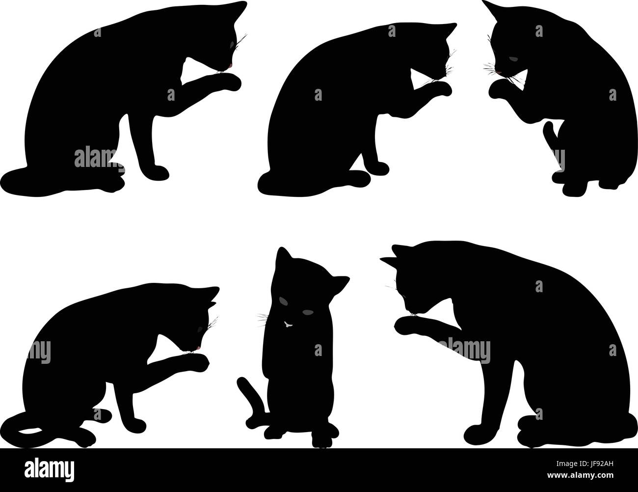 Deep cleaning Black and White Stock Photos & Images - Alamy