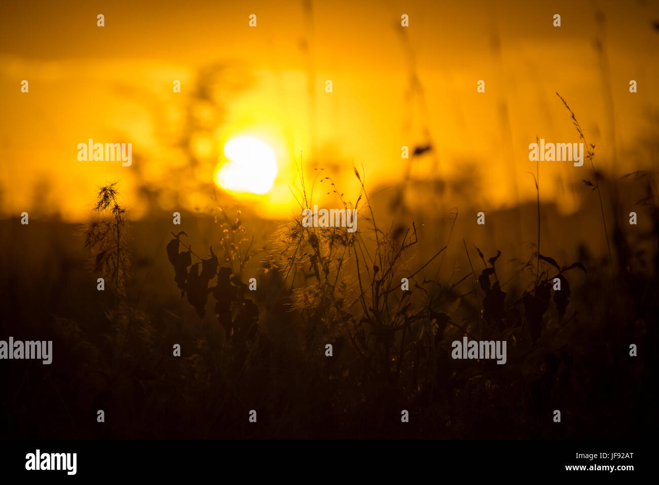 Singida hi-res stock photography and images - Alamy