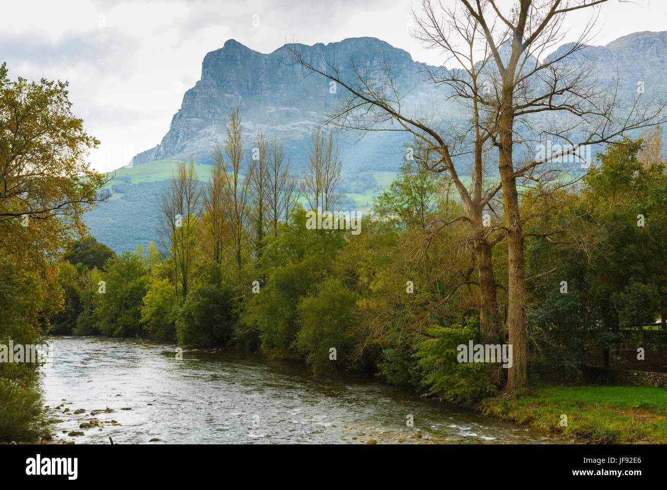 River, forest and mountains Stock Photo - Alamy
