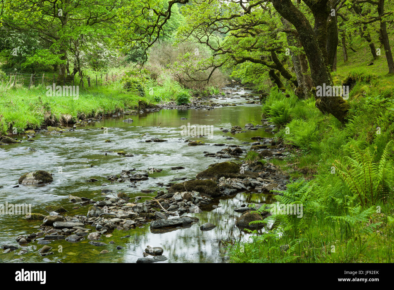 Devon national park hi-res stock photography and images - Alamy