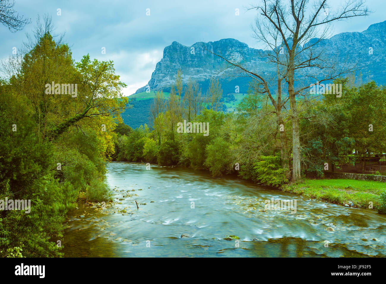 Waters with rivers and nature trees landscape landscape trees hi-res ...
