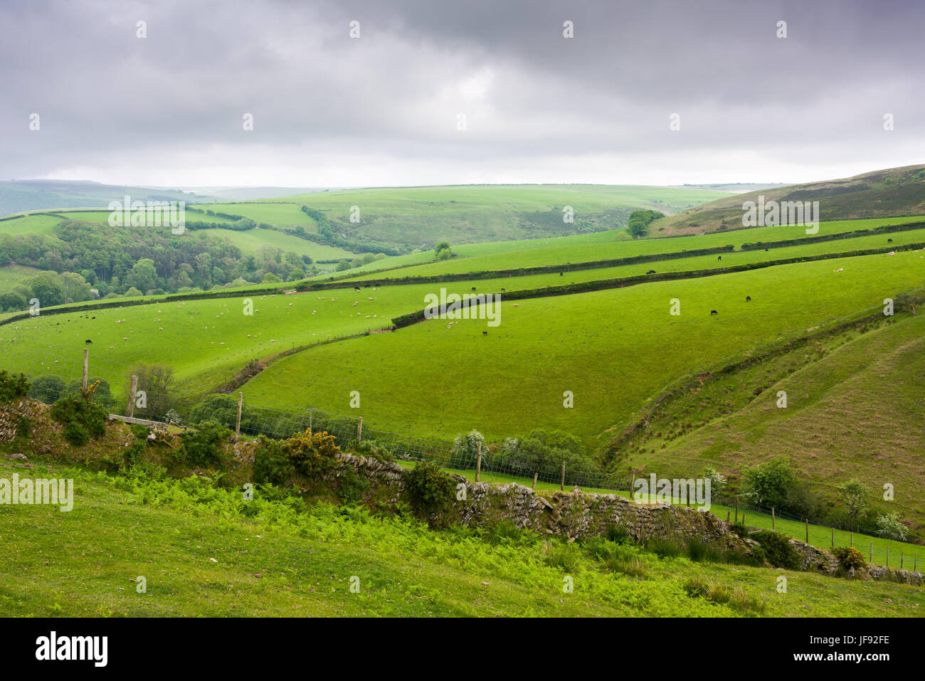 Rolling hills of devon hi-res stock photography and images - Alamy