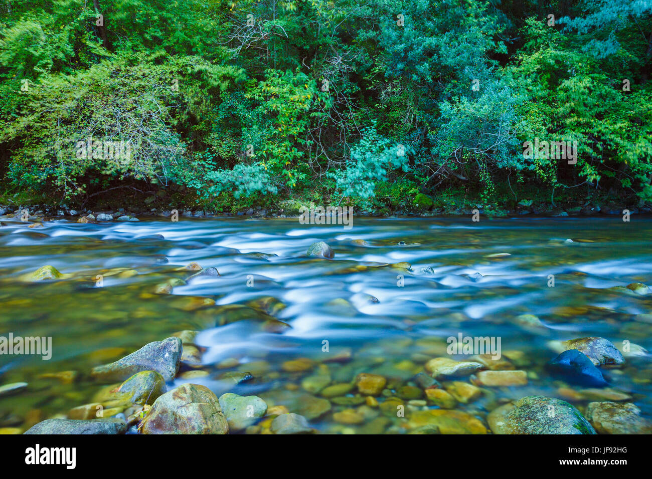 River and forest Stock Photo - Alamy