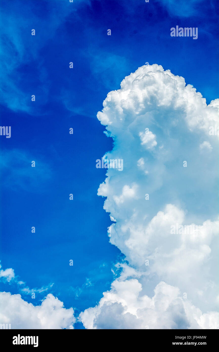 Profile of alien face hi-res stock photography and images - Alamy