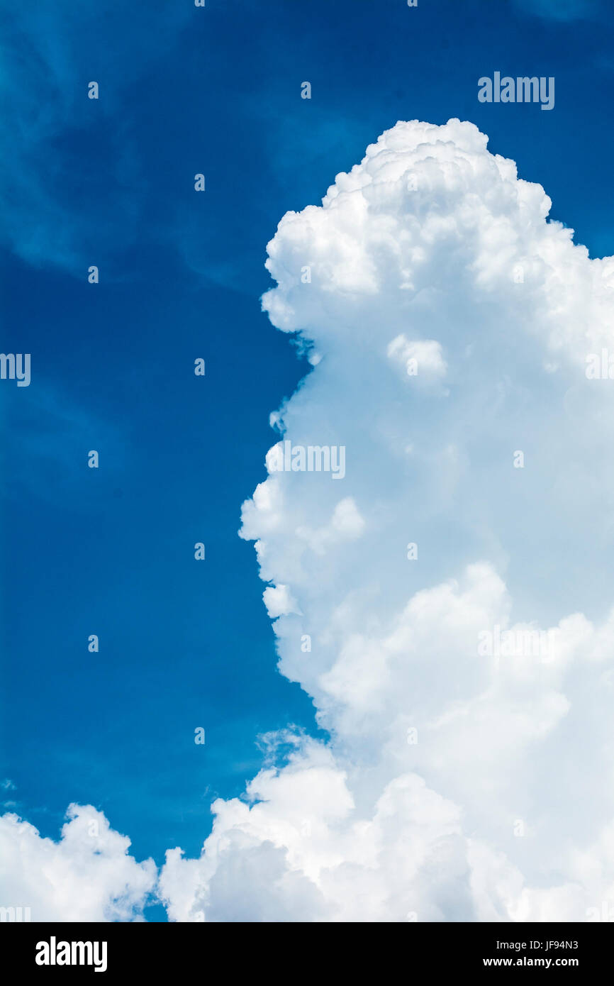 Profile figure sideview side view hi-res stock photography and images ...