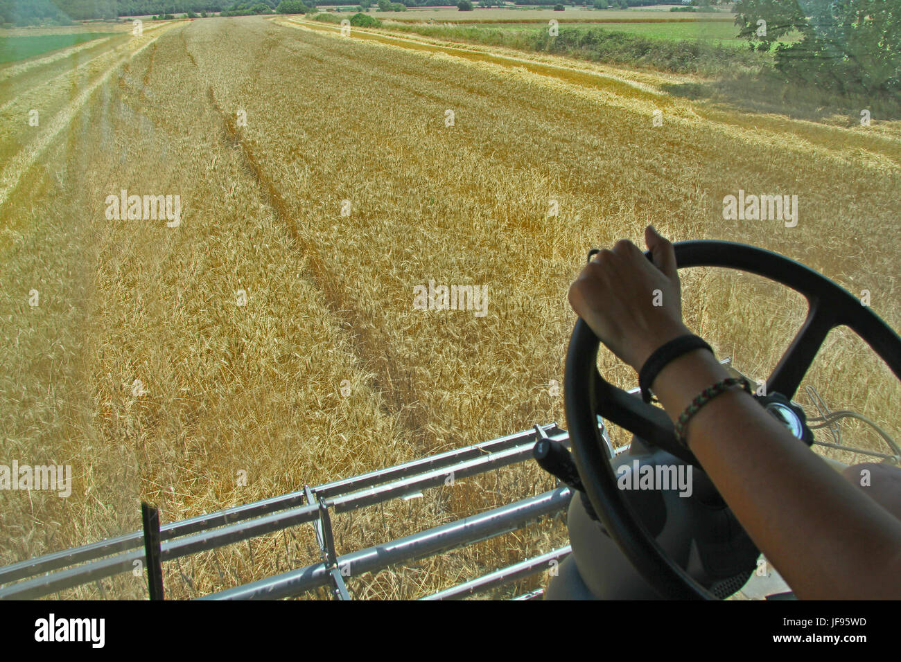 working in the field Stock Photo - Alamy