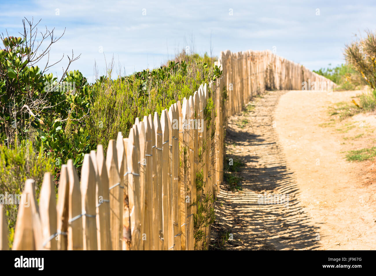 Wooden fence on an Atlantic beach in France, The Gironde Department ...