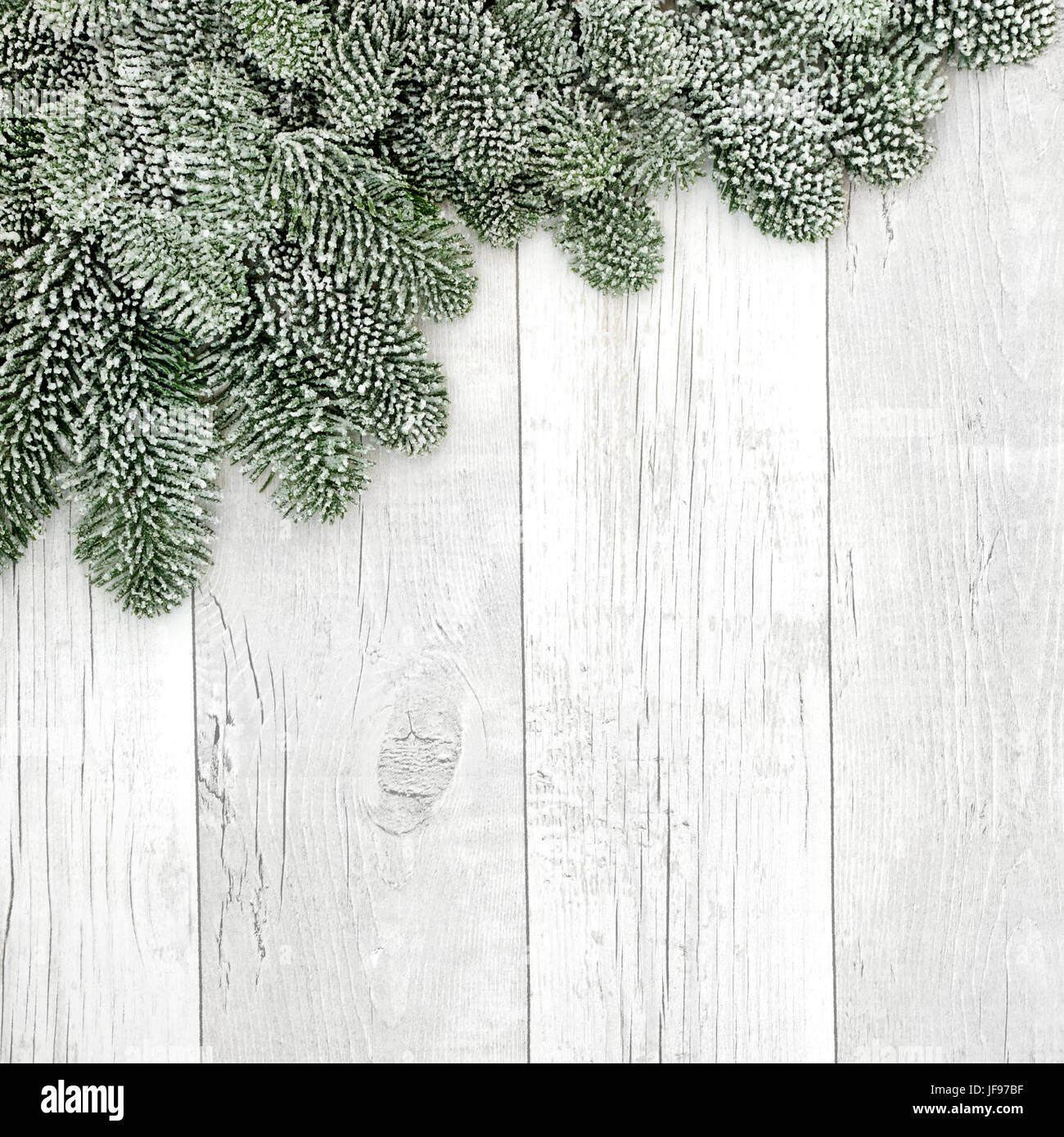 Snow covered fir background border on distressed white wood Stock Photo ...