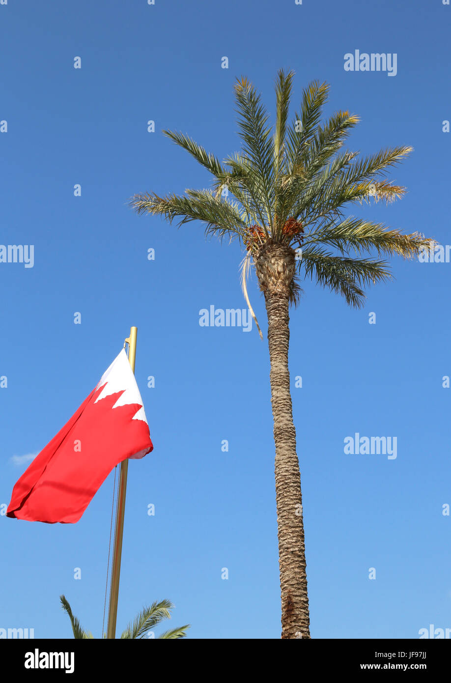 Egypt bahrain flag hi-res stock photography and images - Alamy