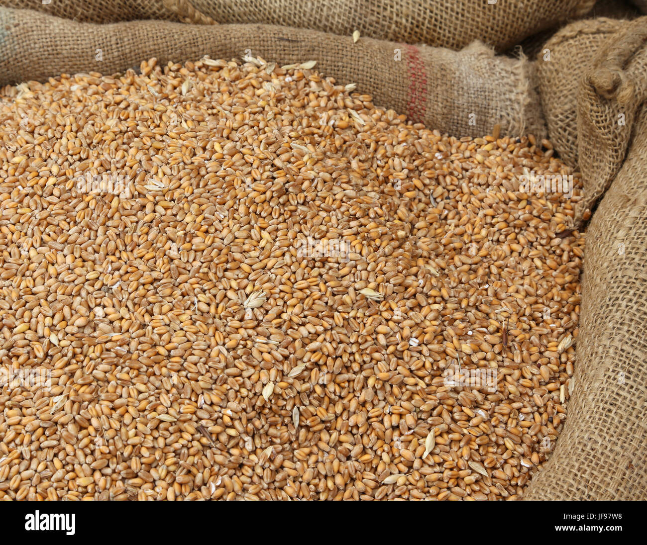 Background of wheat seeds in a sack of jute after harvest Stock Photo ...