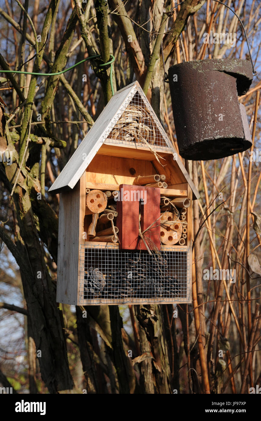 Insect nest hi-res stock photography and images - Alamy