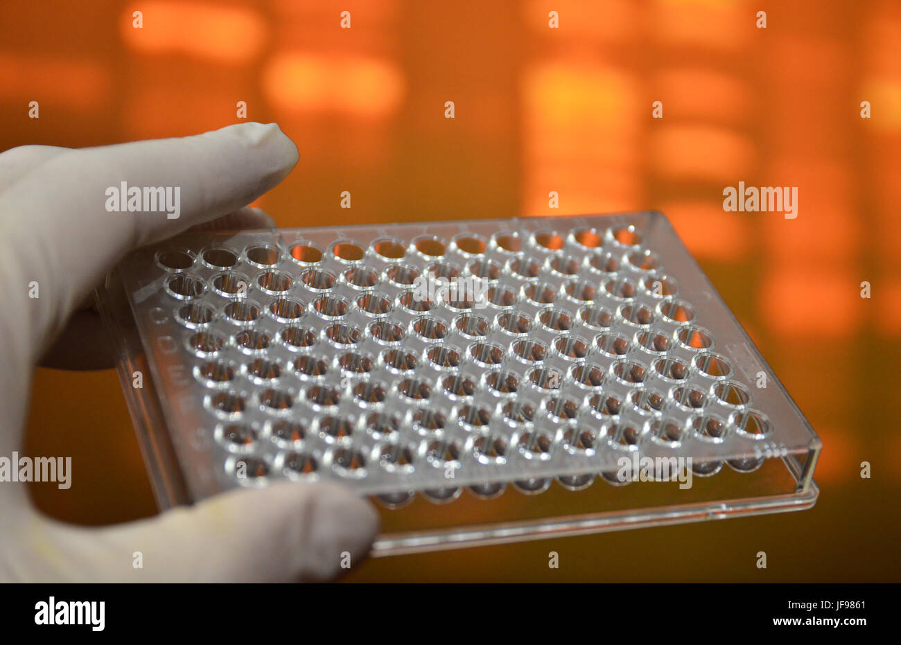 DNA testing in genetic laboratories. Biological scientific equipment ...