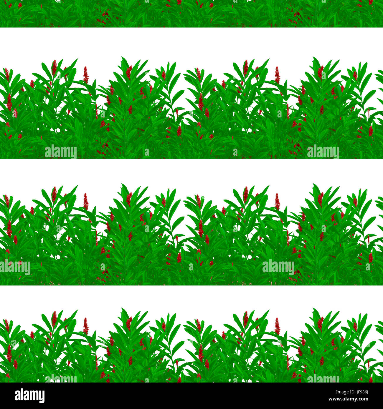 Stripes tropical hi-res stock photography and images - Alamy