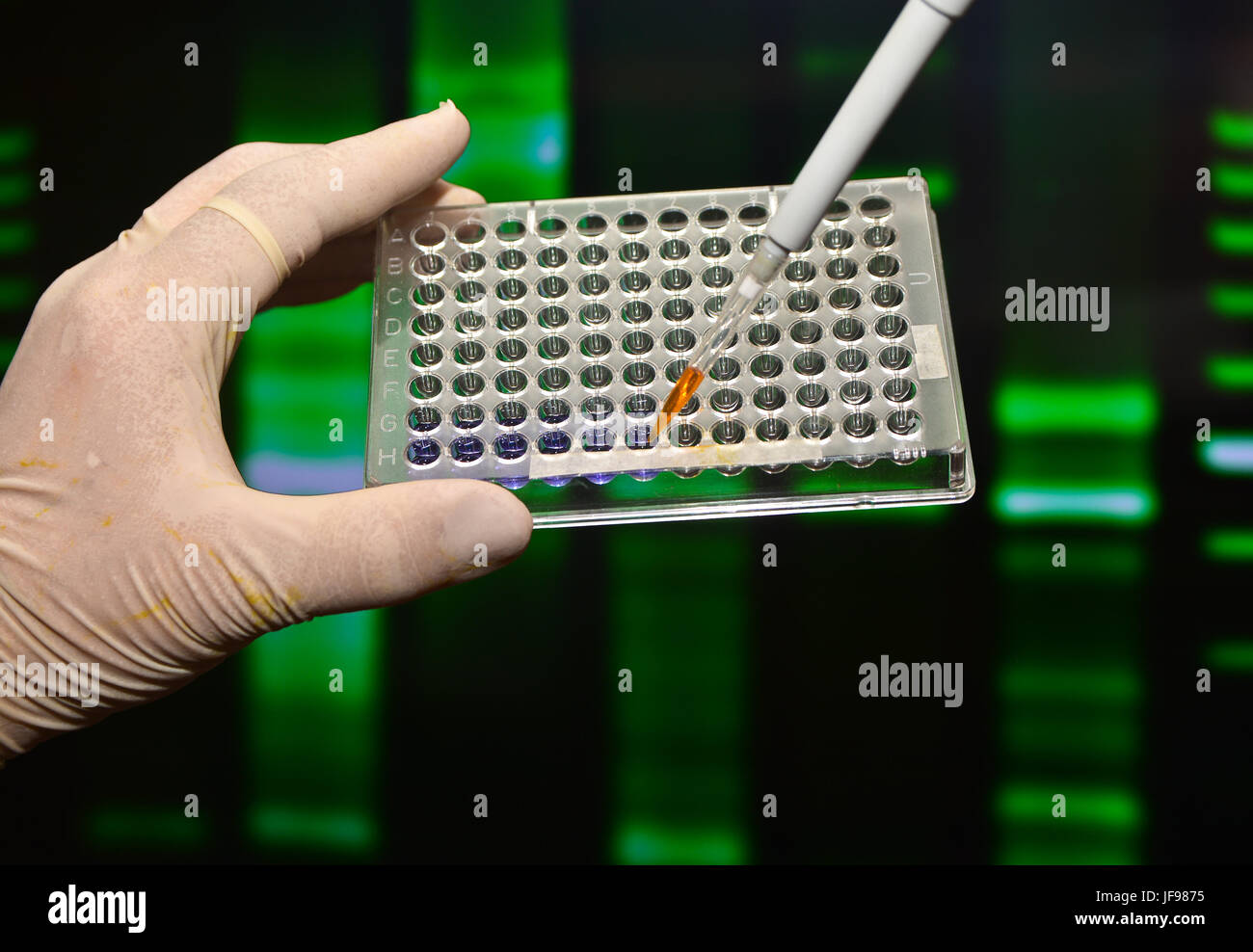DNA testing in genetic laboratories. Biological scientific equipment ...