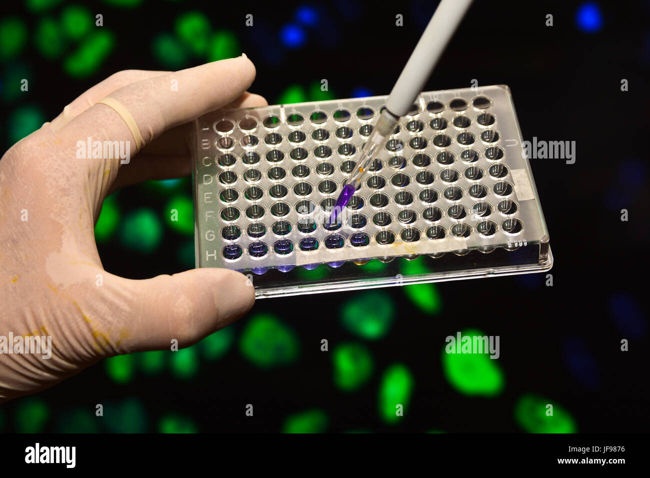 DNA testing in genetic laboratories. Biological scientific equipment ...