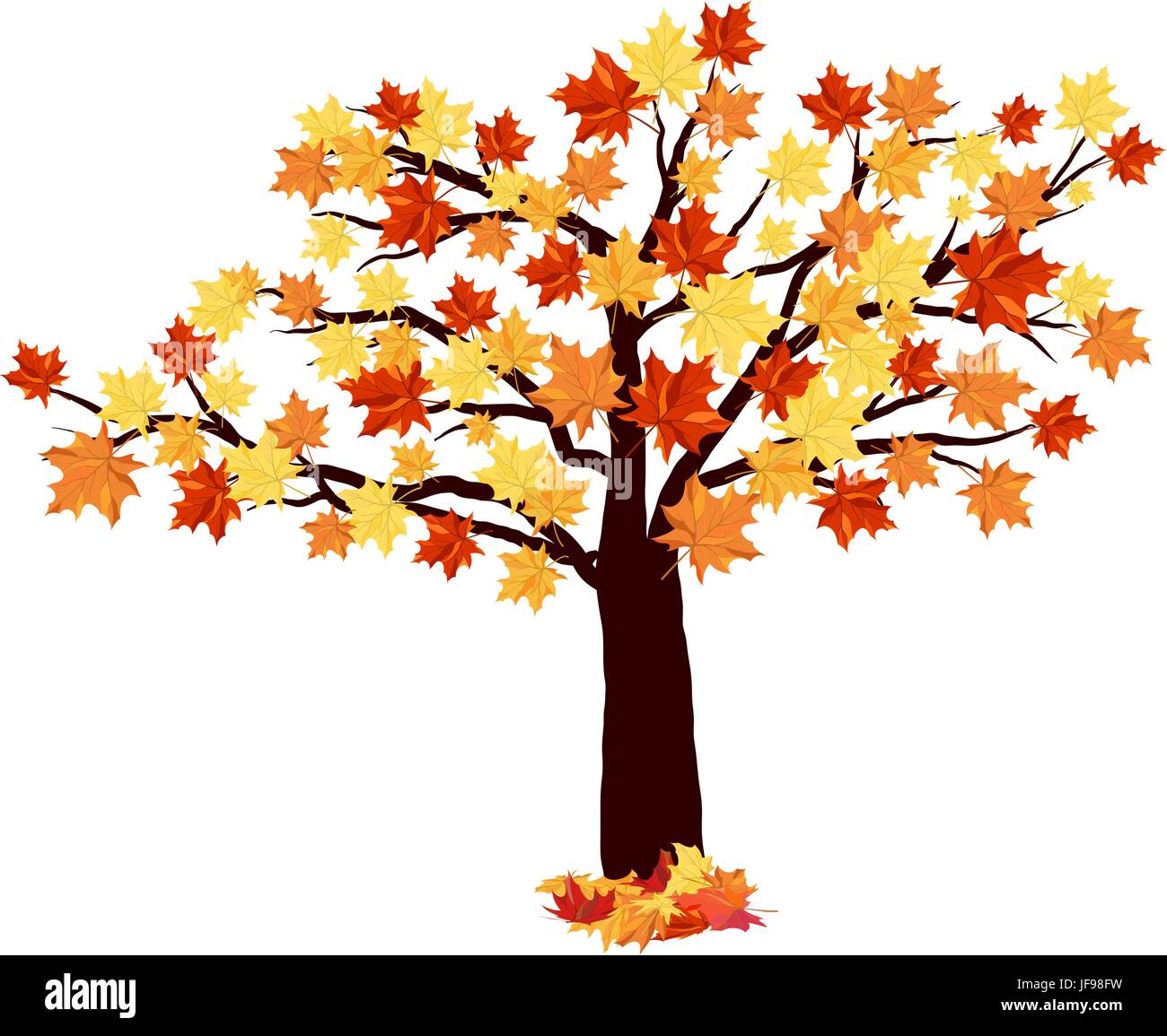 Autumn Maple Tree Stock Vector Image & Art - Alamy