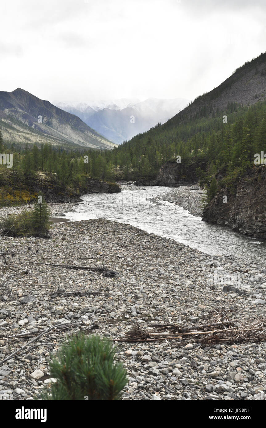 The river in mountains of Yakutia. Cloudy landscape on a route Yakutsk ...