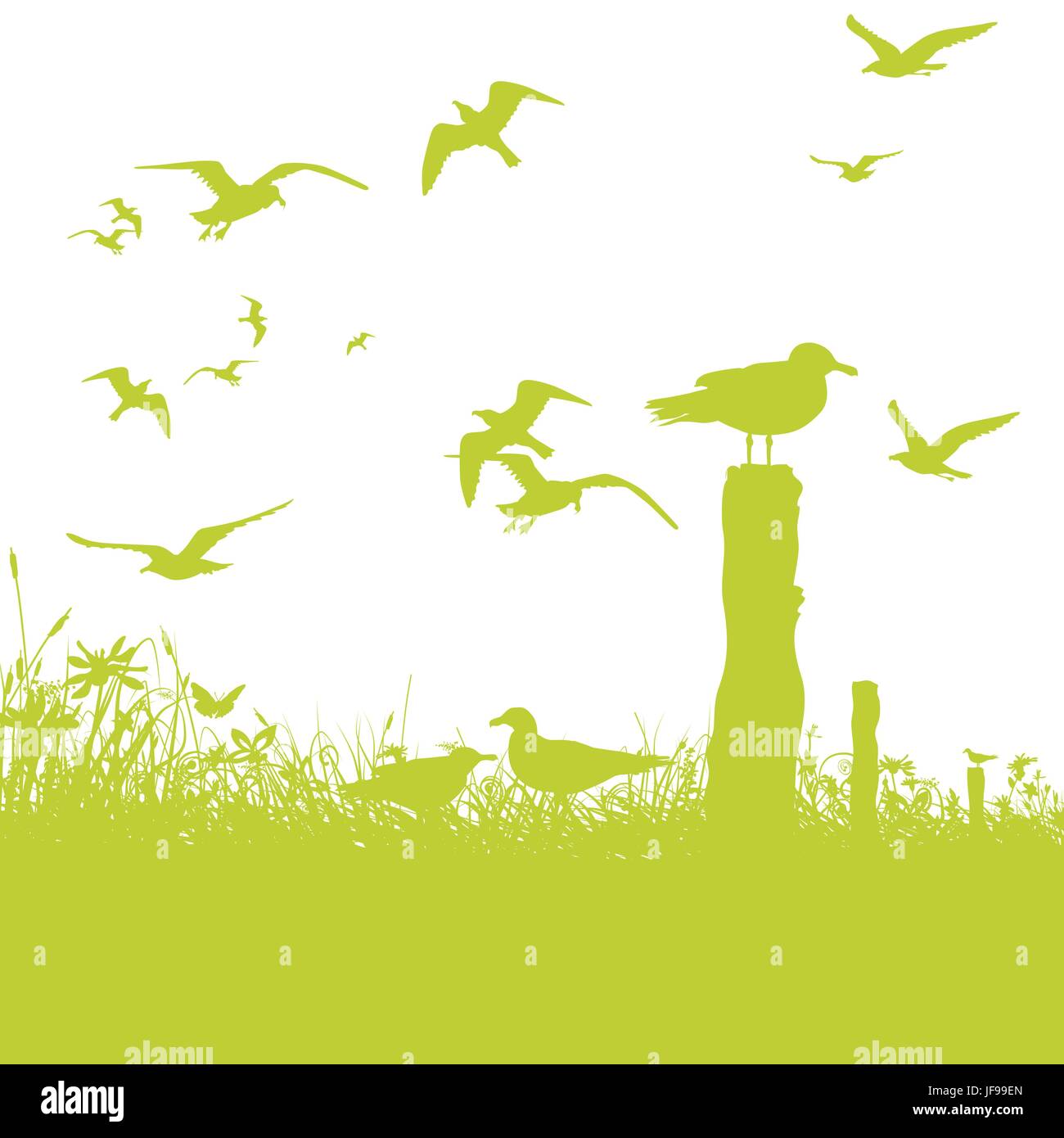 Migrant water birds Stock Vector Images - Alamy