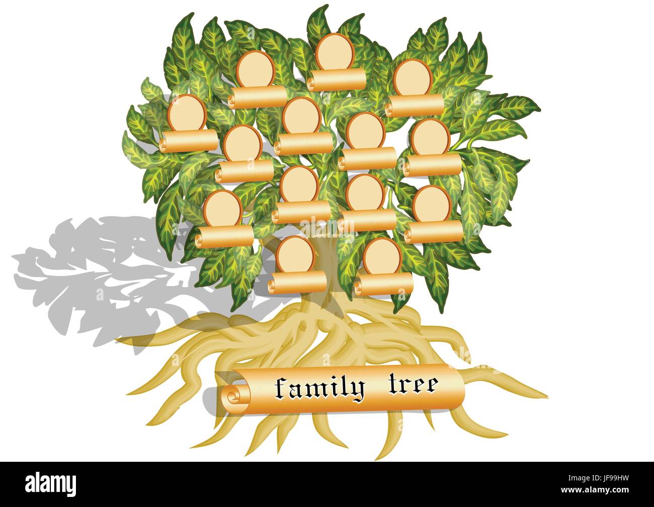 family tree on white Stock Vector Image & Art - Alamy