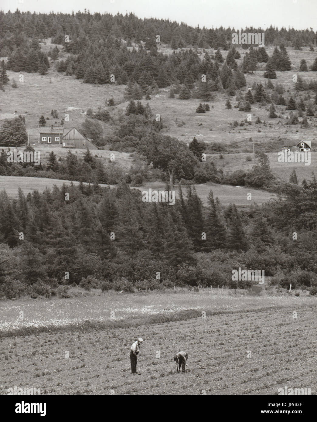 This image, cataloged as 18655, is part of a collection of historical ...