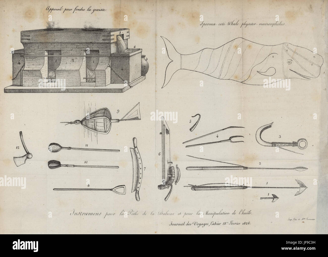 Instruments pour la pêche de la baleine et pour la Stock Photo - Alamy