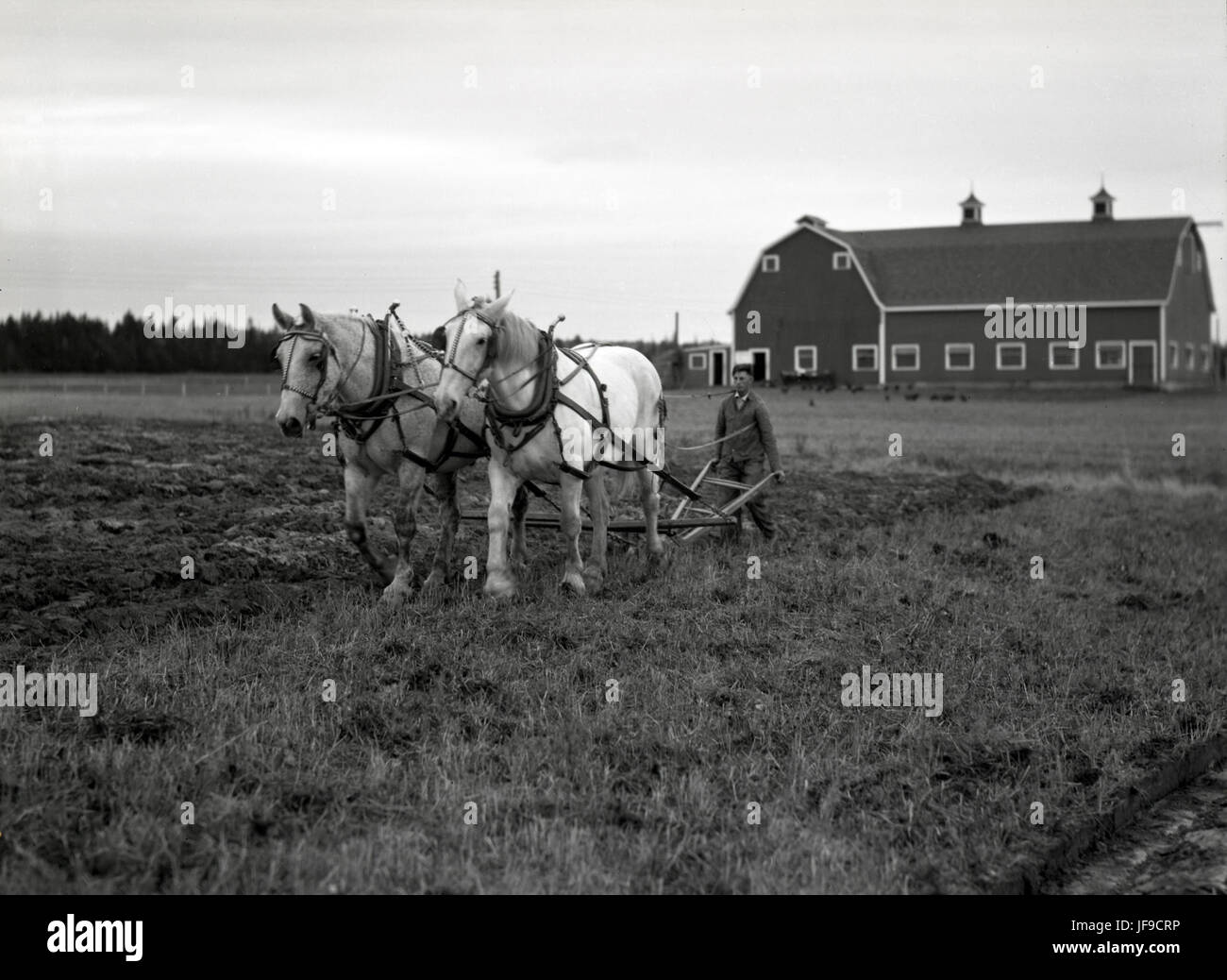 A historic photograph showcasing a significant event from the past ...