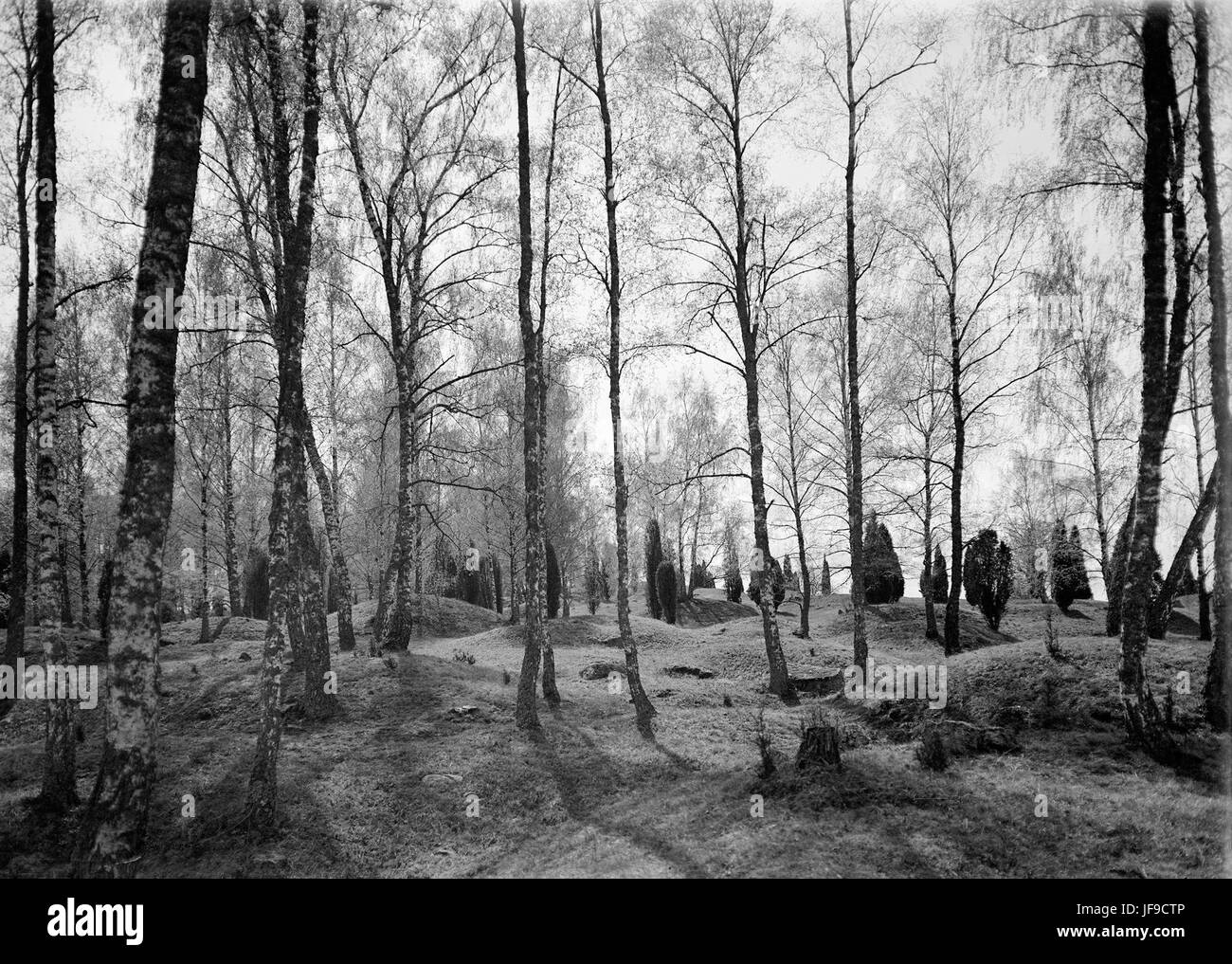 Birka map hi-res stock photography and images - Alamy