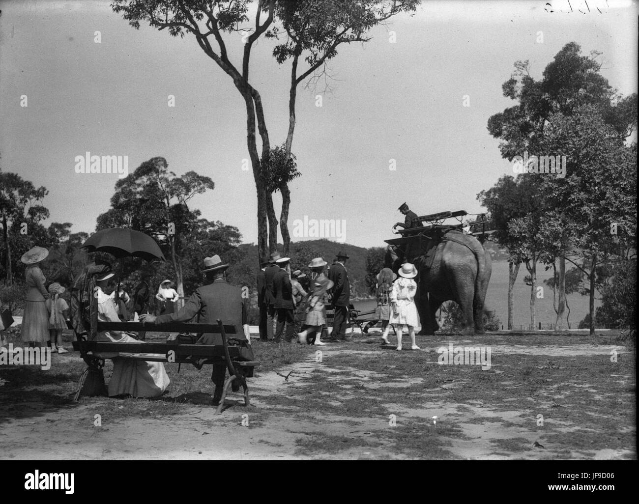 A scenic view captured in Taronga Park, showcasing wildlife and natural ...