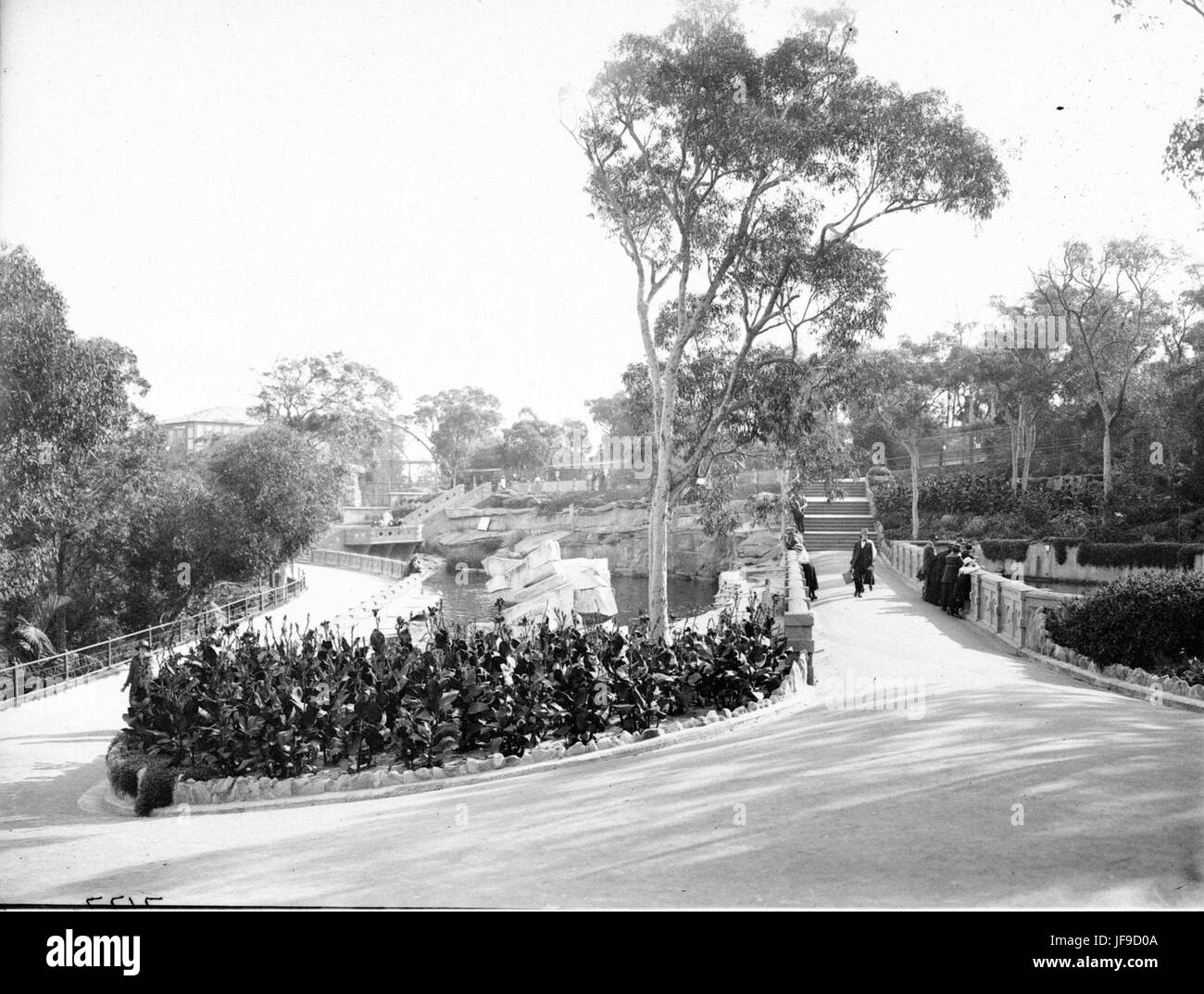 Taronga Park Zoo, a world-renowned zoo in Sydney, known for its animal ...