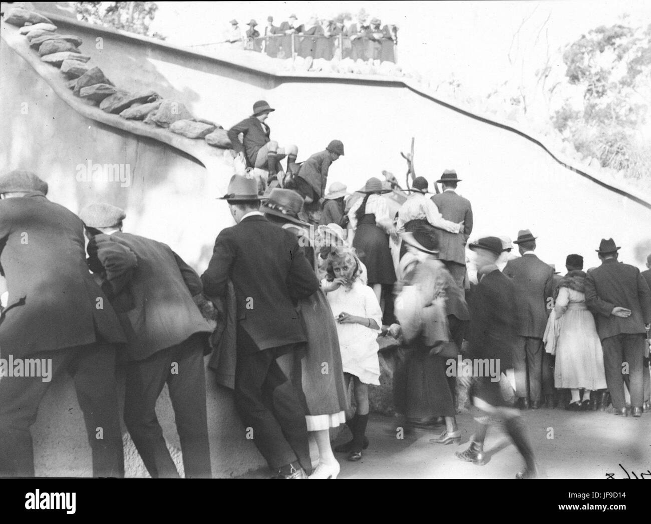 Taronga Park Zoological Gardens: A photograph of Taronga Park Zoo in ...