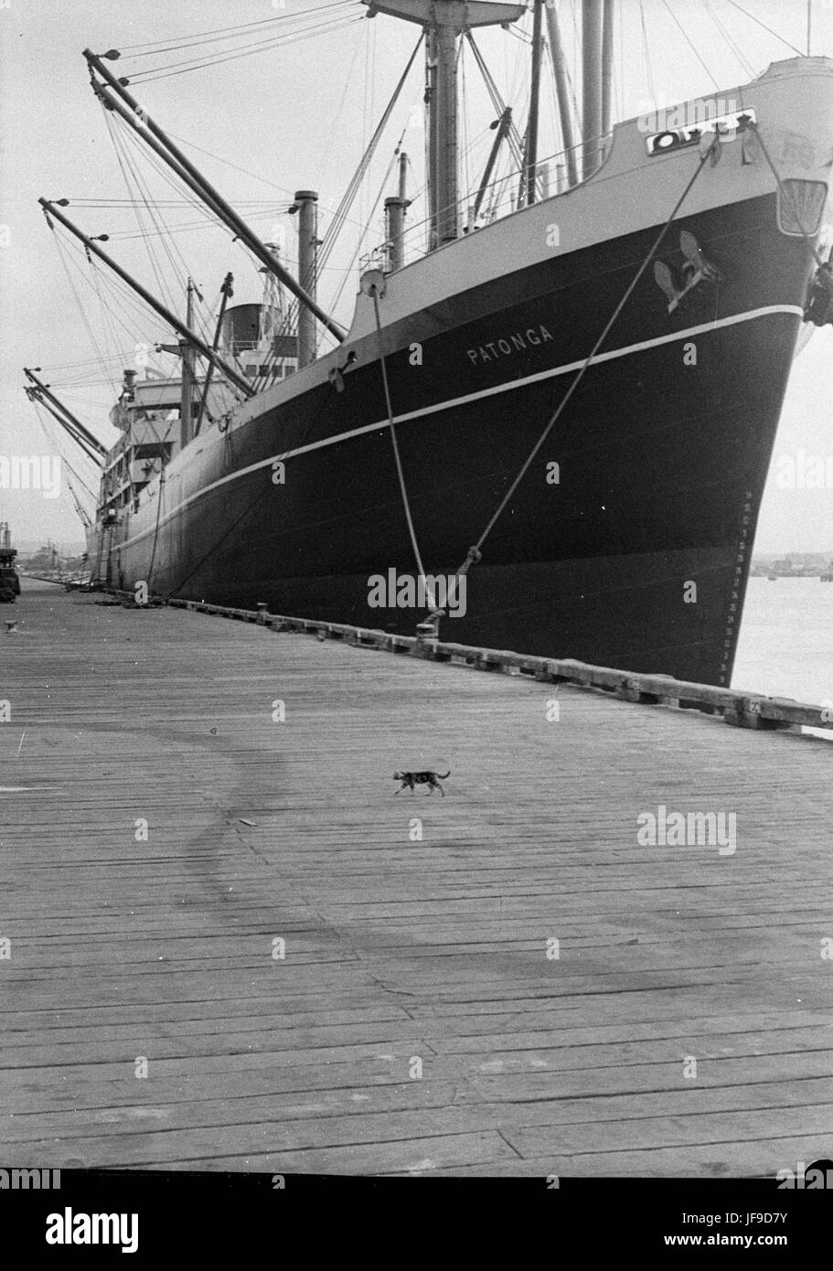 Patonga hi-res stock photography and images - Alamy