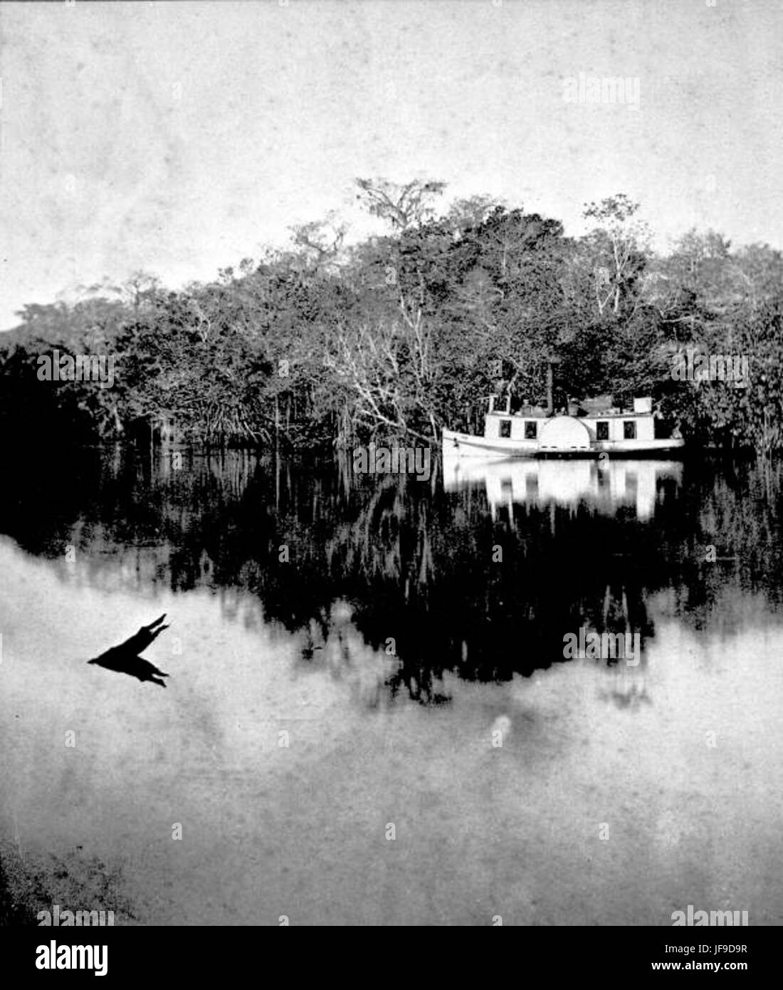 A photograph of the Riverboat Ibex, cruising on the water, capturing ...