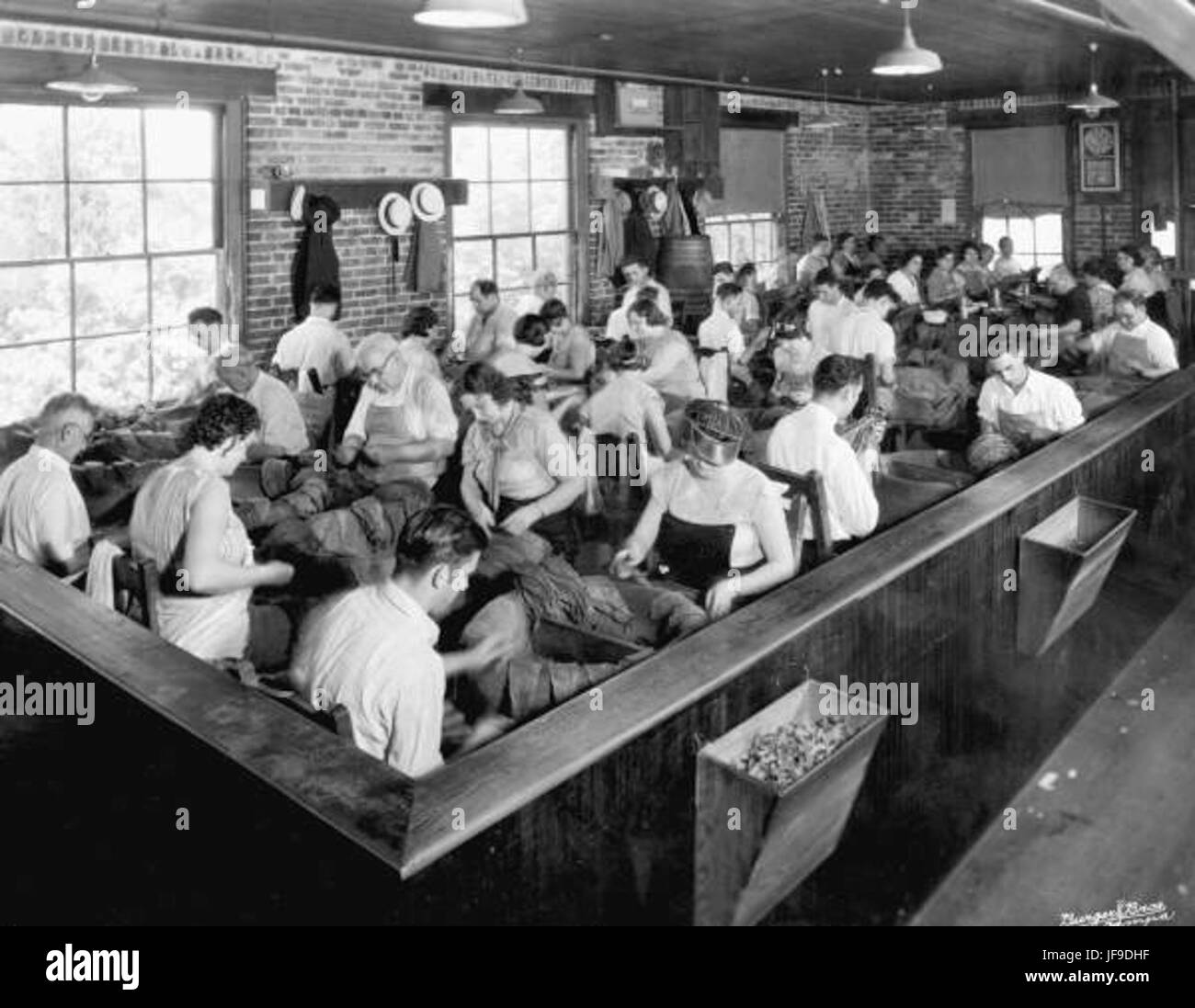 Growing tobacco Black and White Stock Photos & Images - Alamy