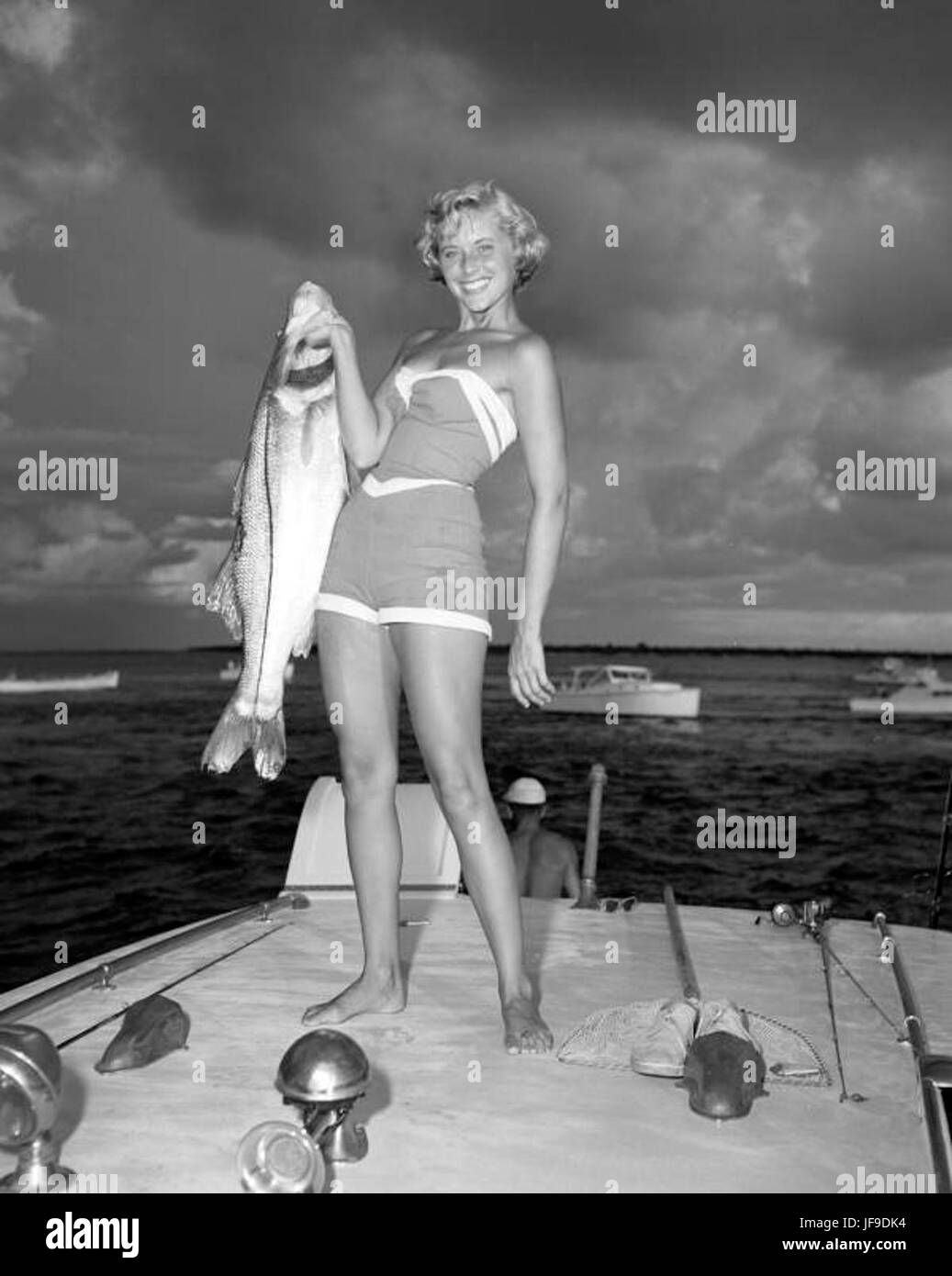 Snook illustration hi-res stock photography and images - Alamy