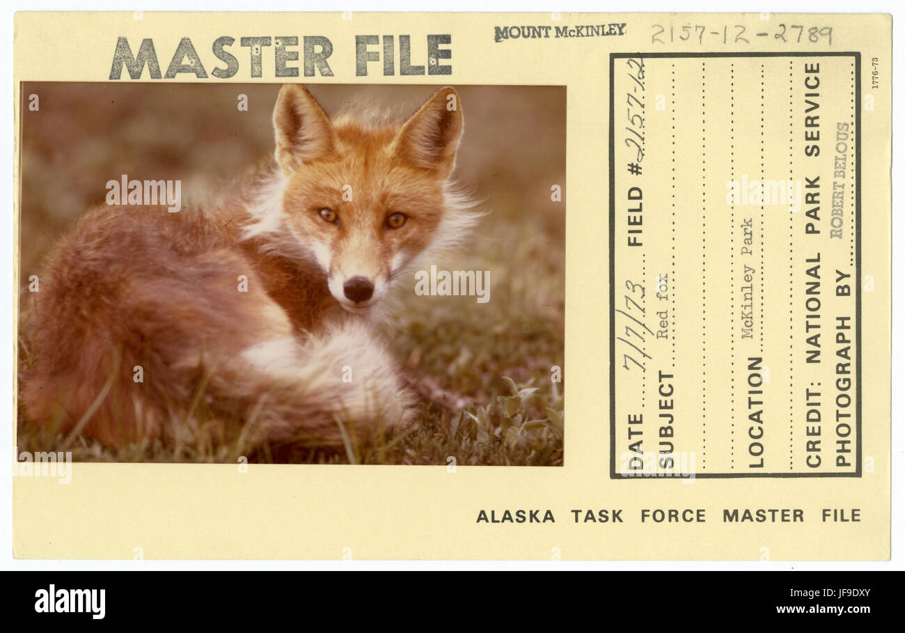 Red fox book cover hi-res stock photography and images - Alamy