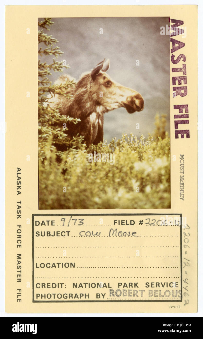 Moose map hi-res stock photography and images - Alamy