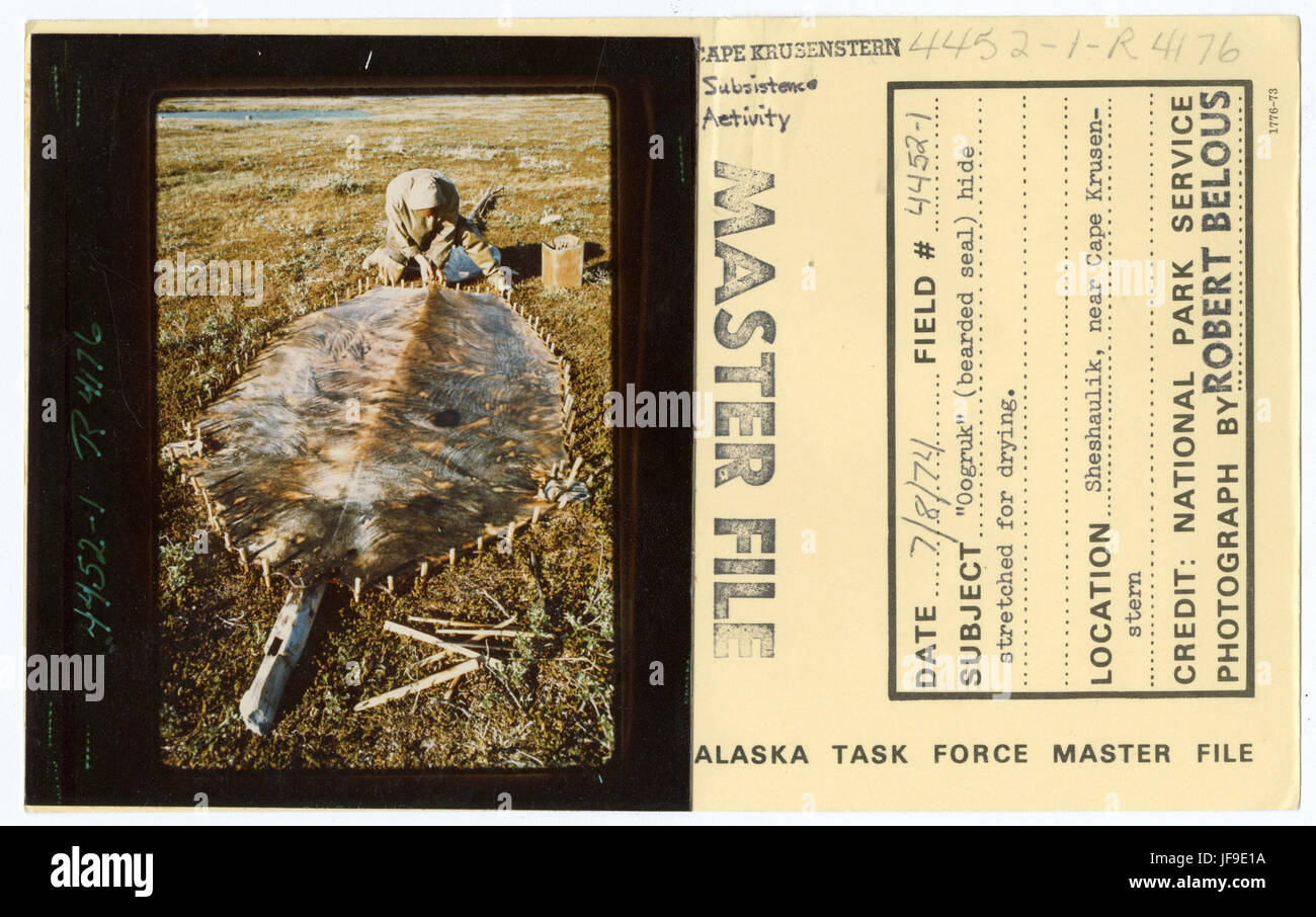 Sealhide hi-res stock photography and images - Alamy