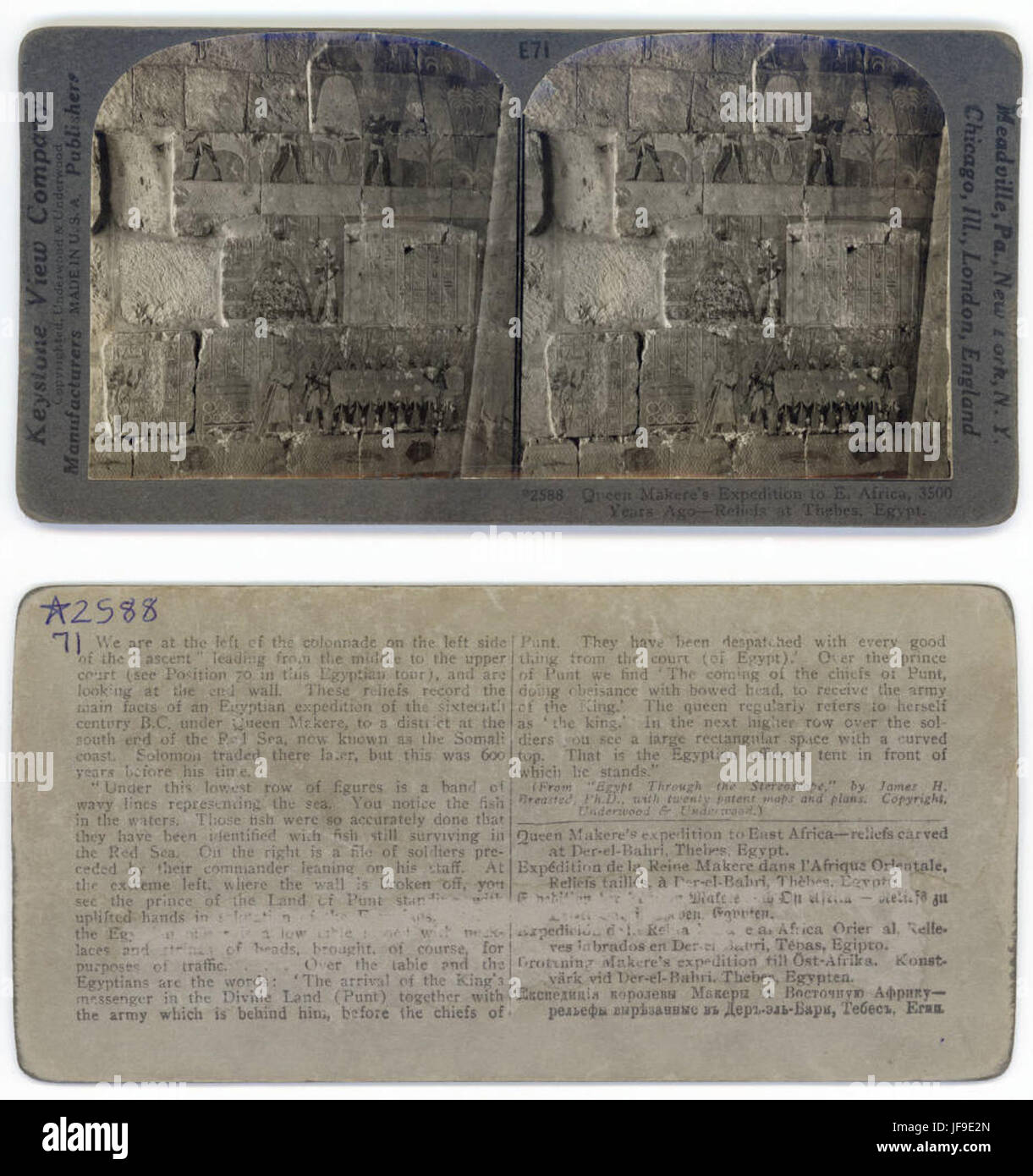 Queen Makere's Expedition to East Africa, 3500 Years Ago: An artistic ...