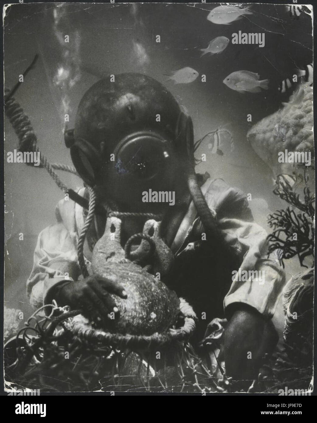 A skilled pearl diver harvesting shells from the rich underwater beds ...