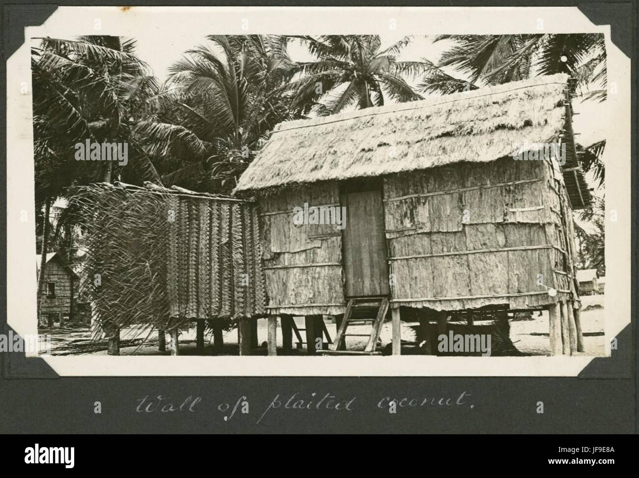 Plaited leaves hi-res stock photography and images - Alamy