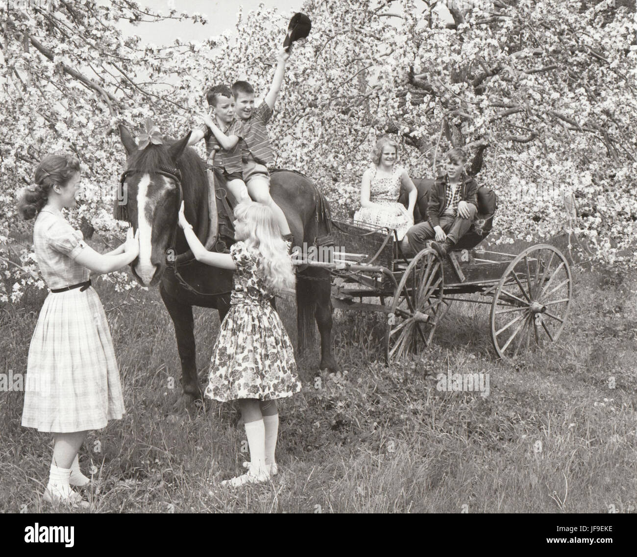 A historical image labeled 13470, captured as part of an archival ...