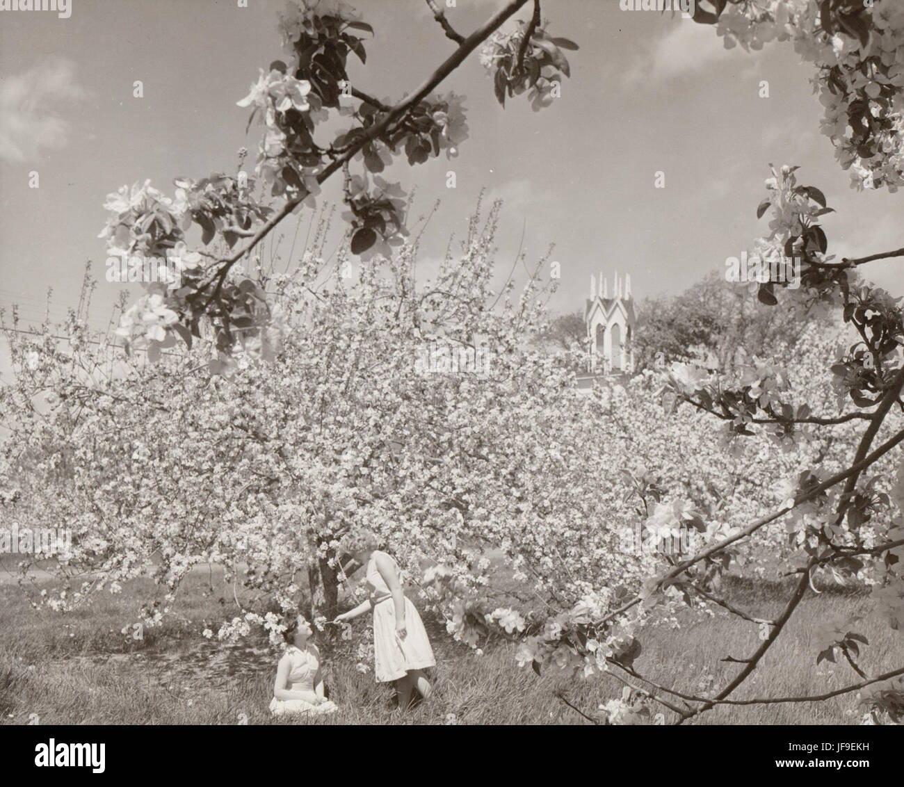 An unidentified image labeled with a catalog number, potentially ...