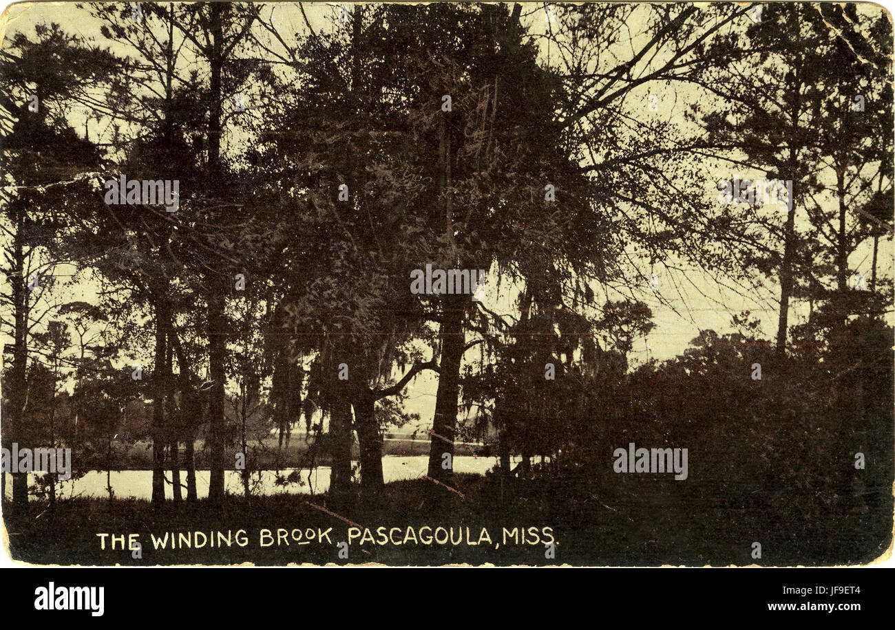 A serene image of The Winding Brook in Pascagoula, Mississippi ...